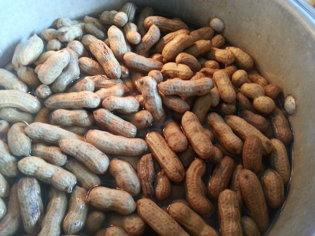 Southern Hot Boiled Peanuts - Simply Sherryl
